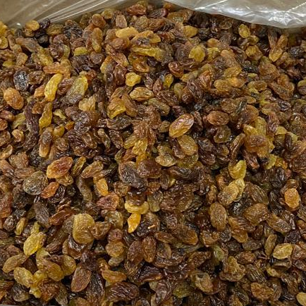 Jual Kismis Anggur Golden Raisin / Kismis Asam Manis Raisin Star untuk ...