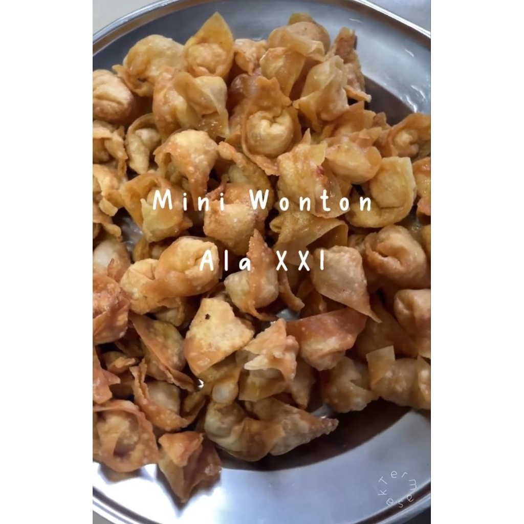 Jual MINI WONTON BUMI FOOD PANGSIT MINI ALA XX1 BERAT 500G | Shopee ...
