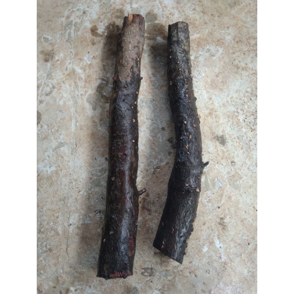 Jual kayu setigi panjang 50+ besar | Shopee Indonesia