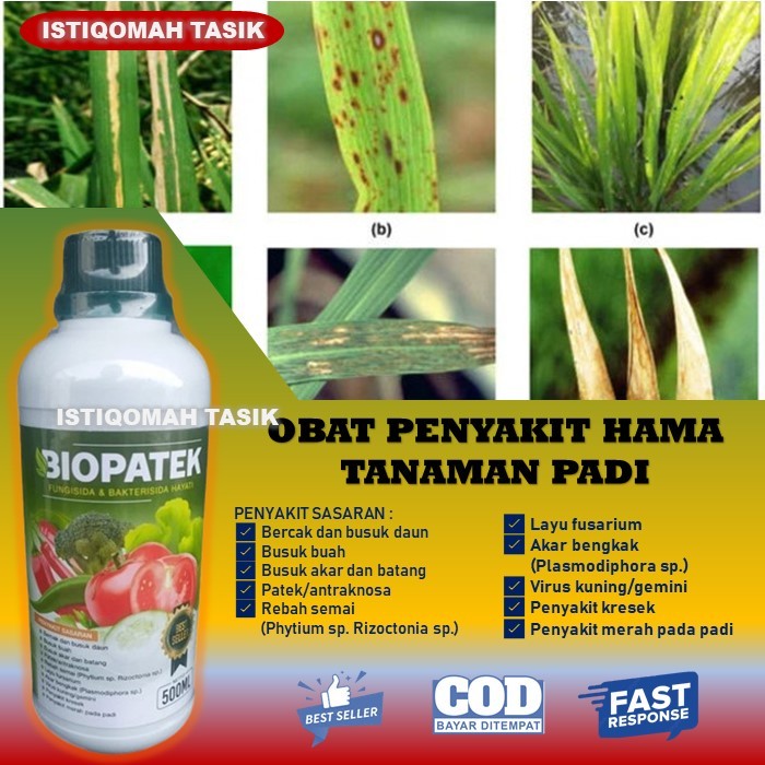 Jual Obat Padi Sawah Paling Ampuh BIOPATEK 500ML Fungisida ...
