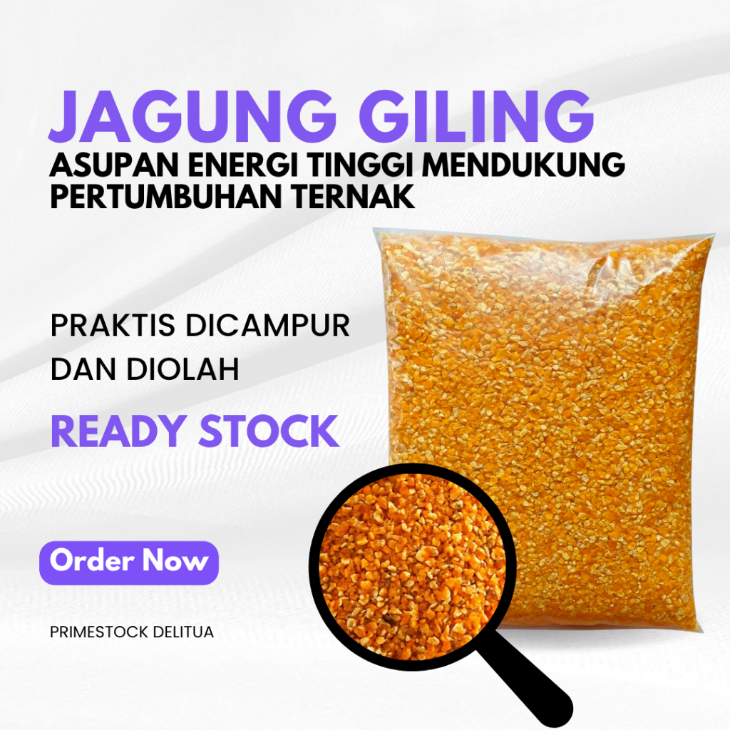 Jual Repack Jagung Giling Ternak Super 1 Kg - Kualitas Terbaik untuk ...