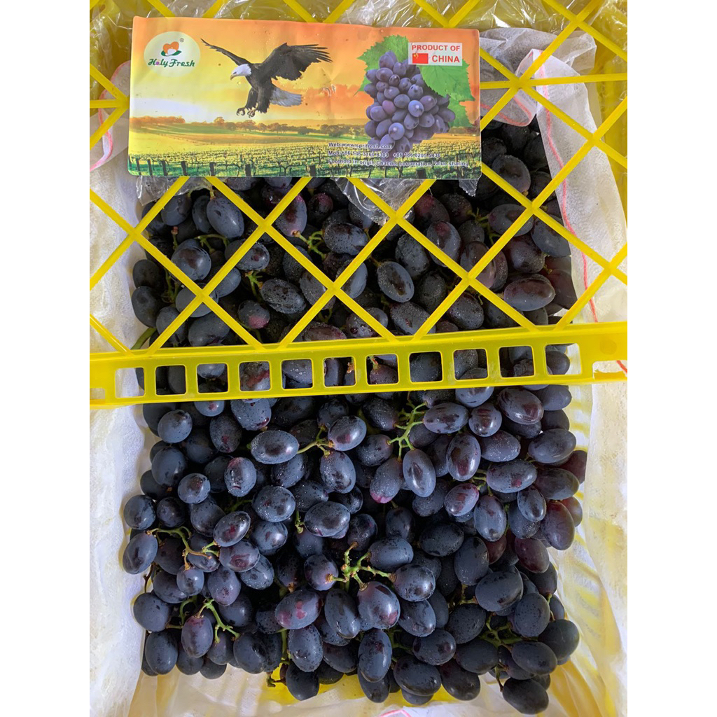 Jual anggur hitam rrc tanpa biji 1 kg | Shopee Indonesia