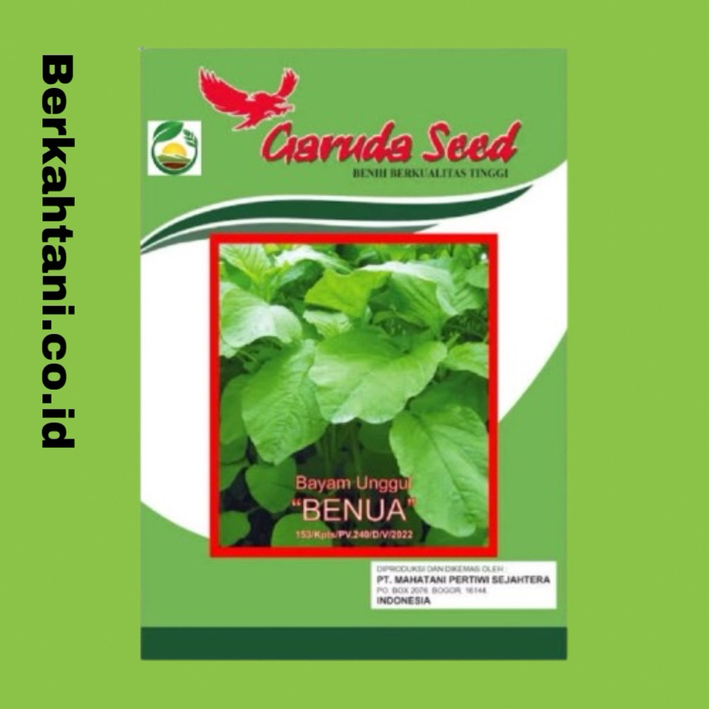 Jual TERMURAH BENIH BAYAM "BENUA" 500 GRAM ASLI 100% ORIGINAL KEMASAN ...
