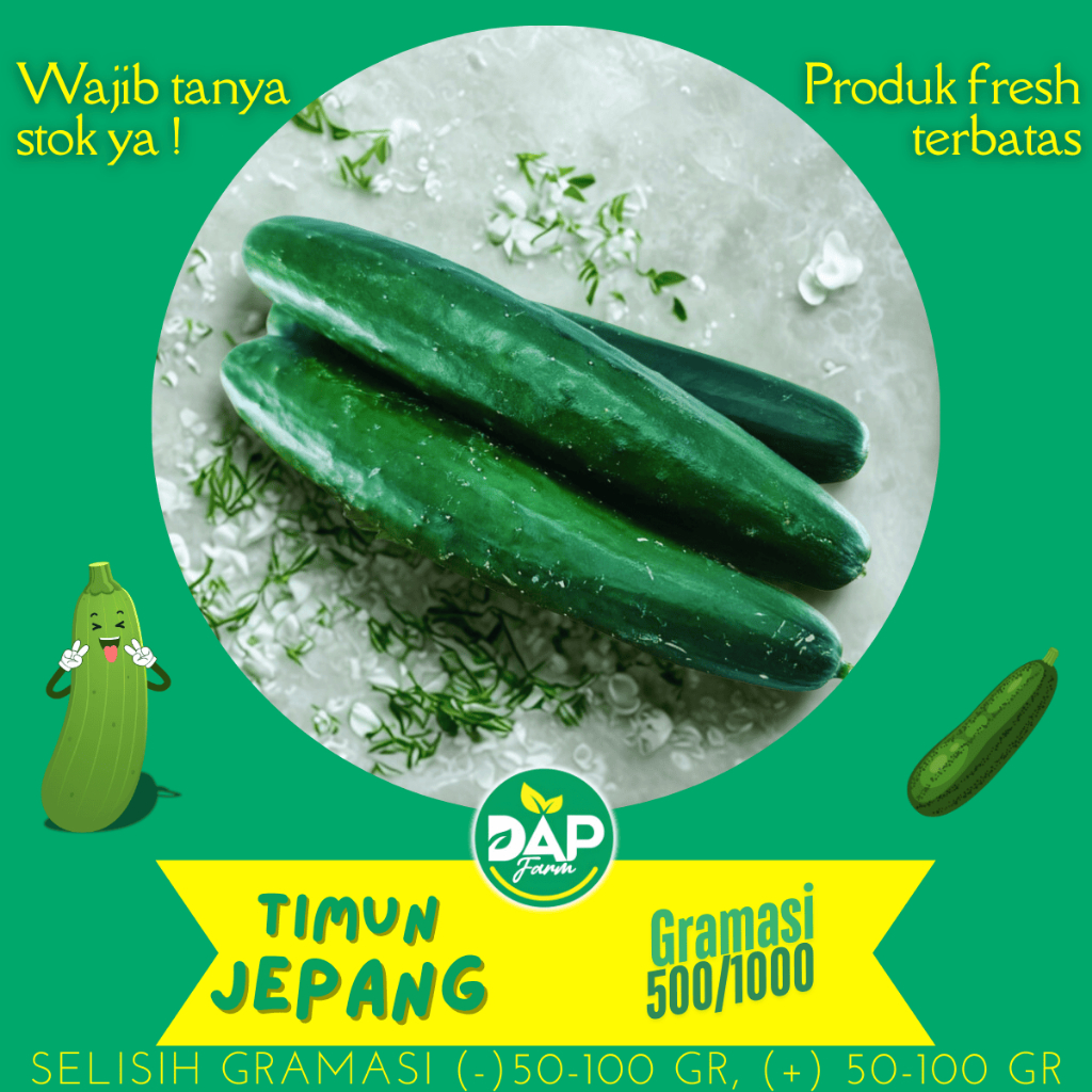 Jual Timun Jepang Kyuri/ DAP Farm/ Sayur Segar Jakarta | Shopee Indonesia