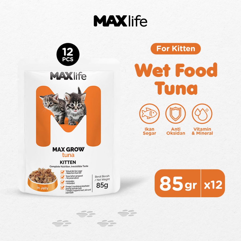 Jual MAXlife Wet Cat Food Kitten Tuna 85g Multipack (Isi 12) | Shopee ...