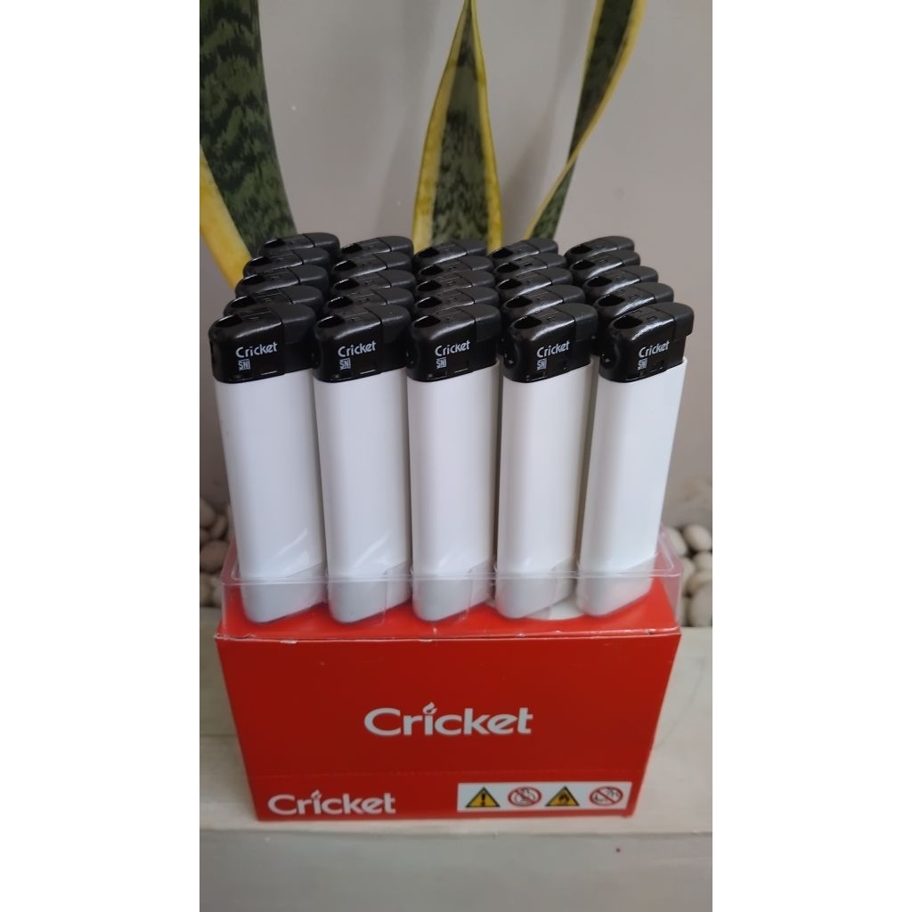 Jual cricket magnet putih polos 1 box isi 25 | Shopee Indonesia