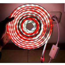 Jual Lampu Led Strip Selang Pipih Merah Putih 220V Lampu Strip 7 Meter ...