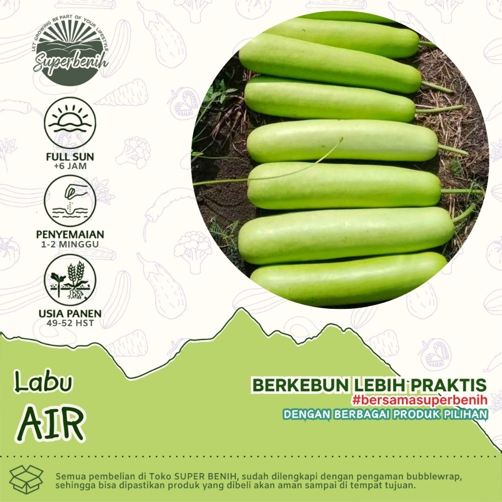 Jual 3 Biji - Benih LABU AIR, Labu blonceng panjang | Shopee Indonesia
