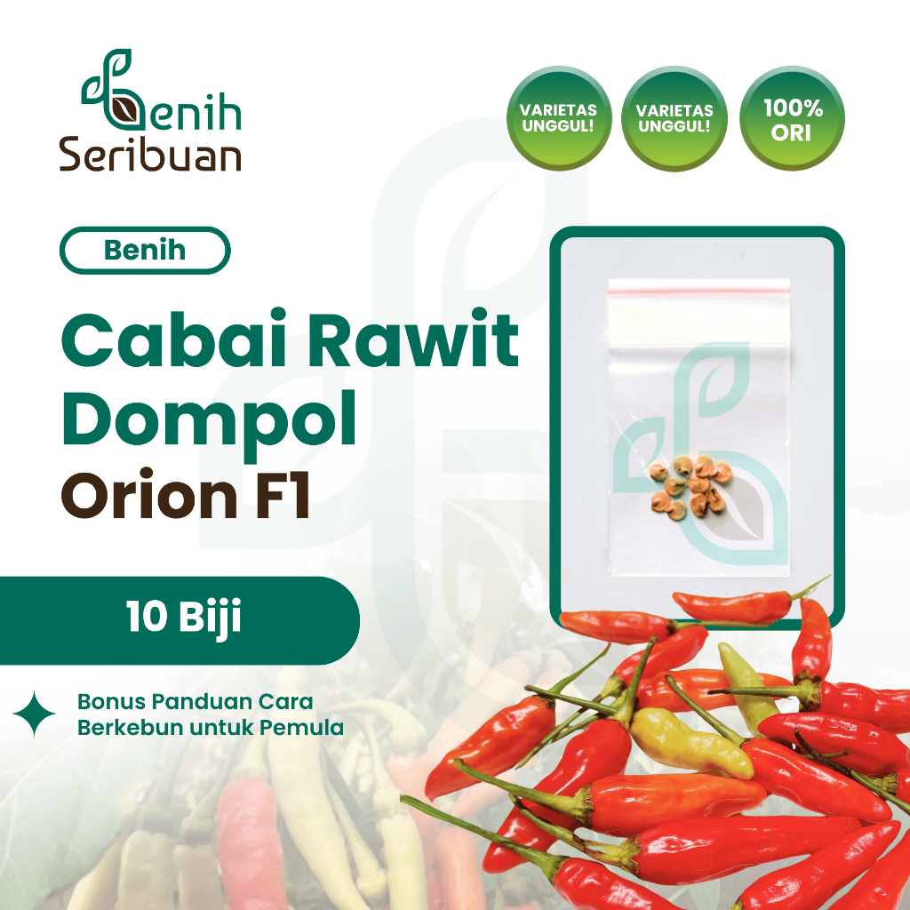 Jual Benih Seribuan - 10 Benih Cabe Rawit Dompol F1 Sayuran Cabai ...