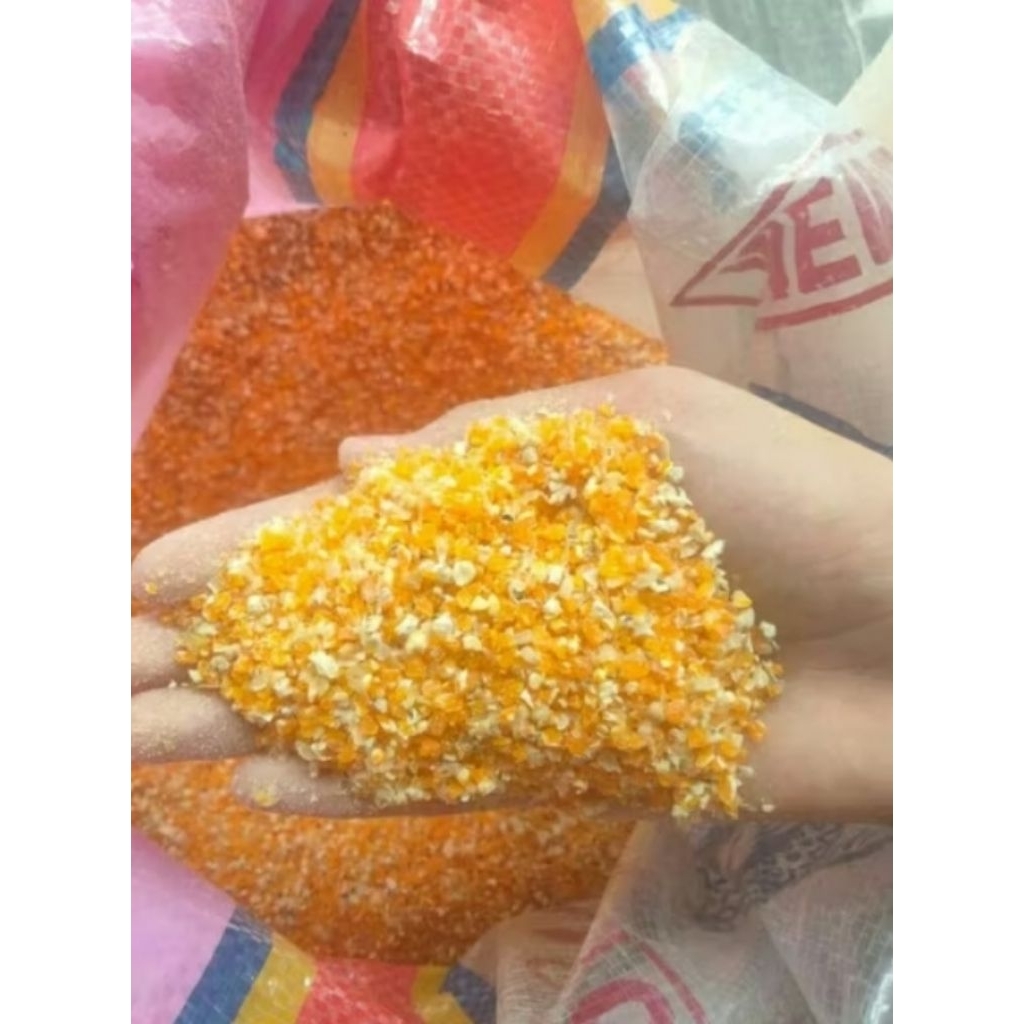 Jual Jagung Giling "Kasar" Pakan Ternak Kemasan 1Kg | Shopee Indonesia