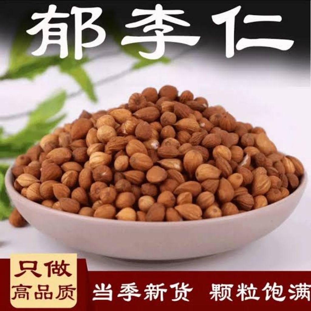 Jual 100gr Herbal Yu Li Ren / Dwarf Flowering Cherry Seed / Semen Pruni ...