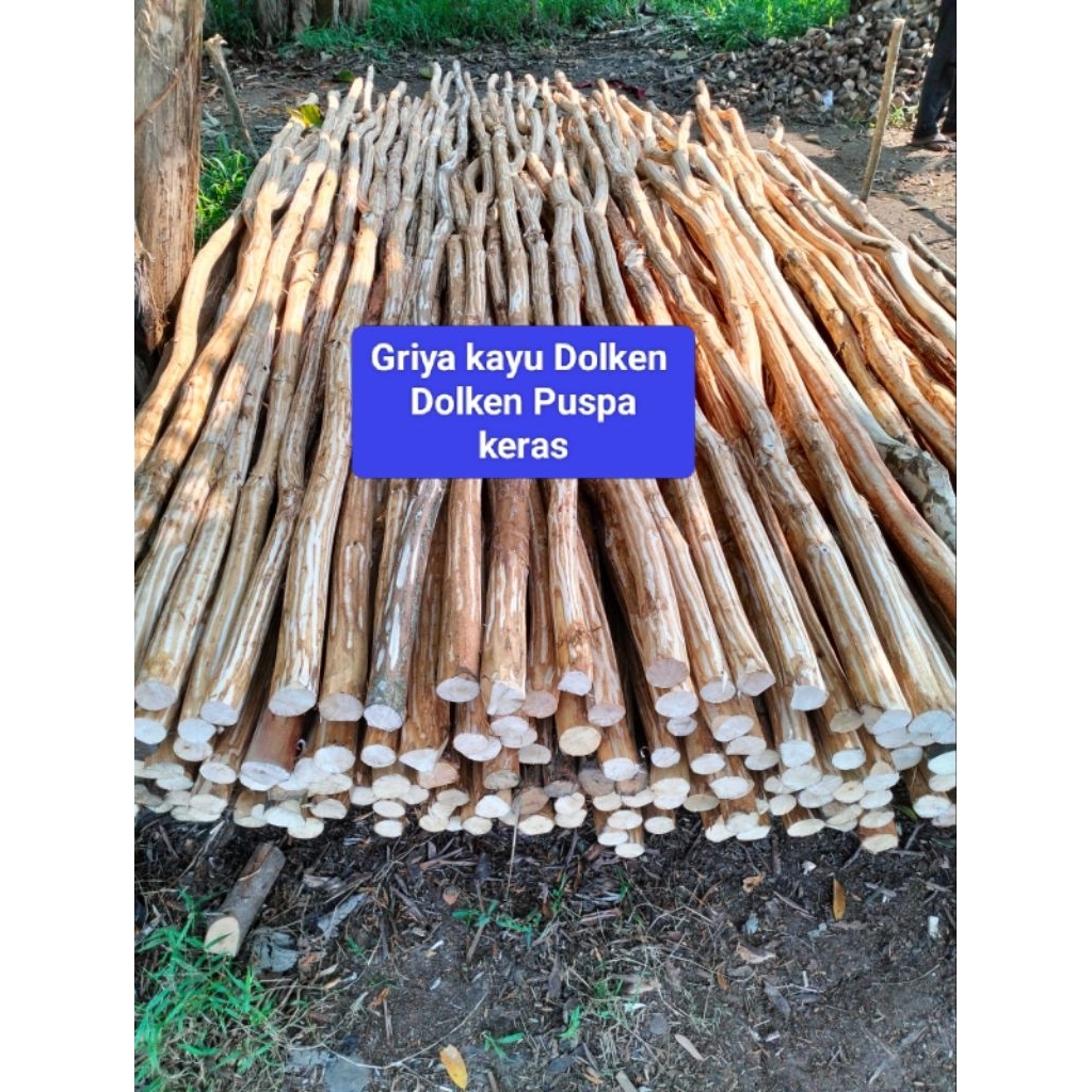 Jual kayu Dolken Puspa keras DM 5*7 cm panjang 3,5 mtr | Shopee Indonesia