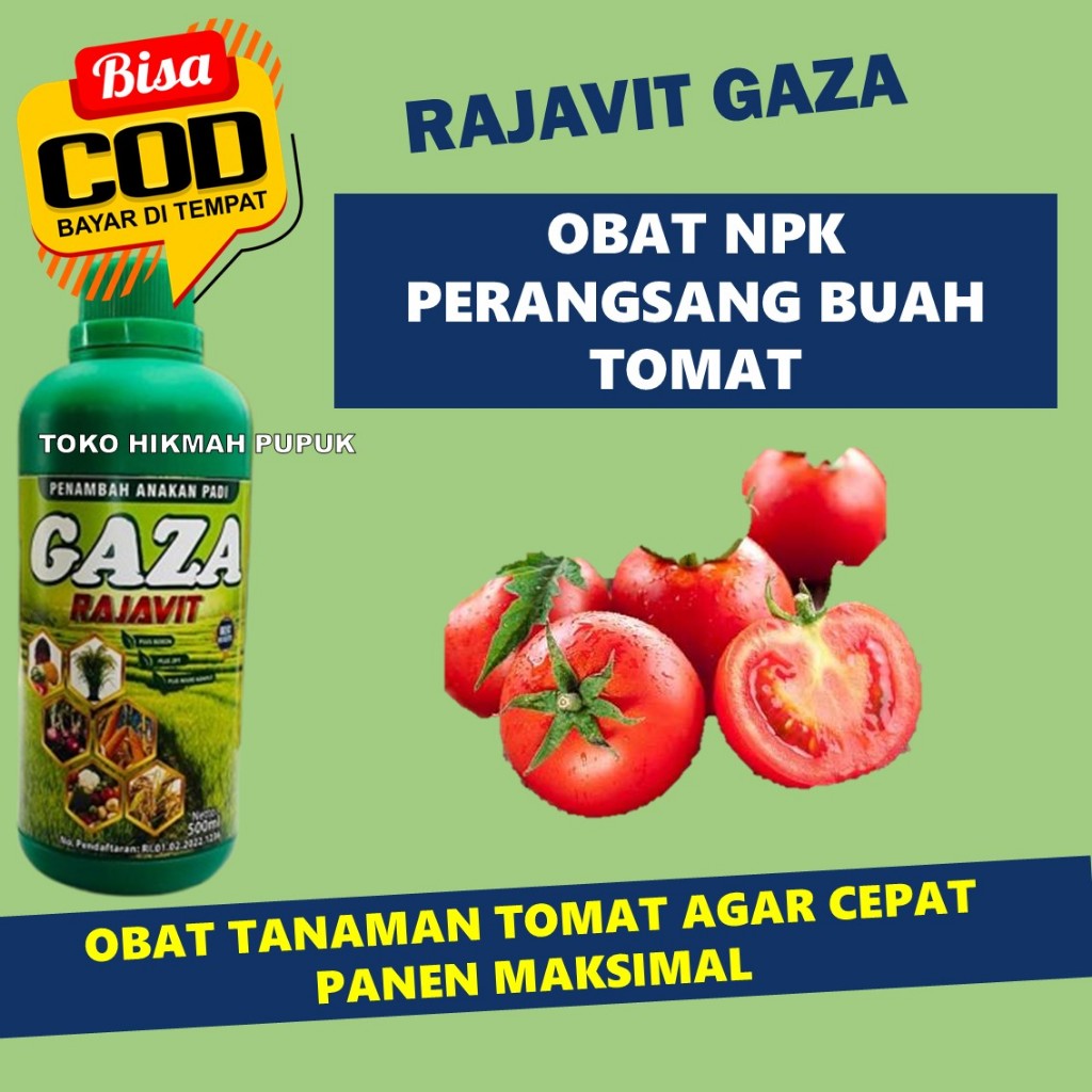 Jual PROMO Pupuk Tomat saat berbunga NPK RAJAVIT 500 ml buah tomat tumbuh sehat dan berbuah ...