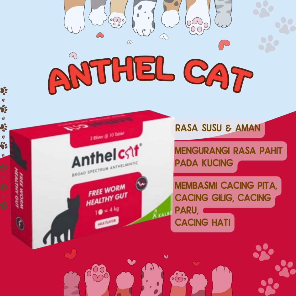 Jual Obat Cacing Kucing 1 Tablet - Obat Cacing Anthel Cat Kucing by ...
