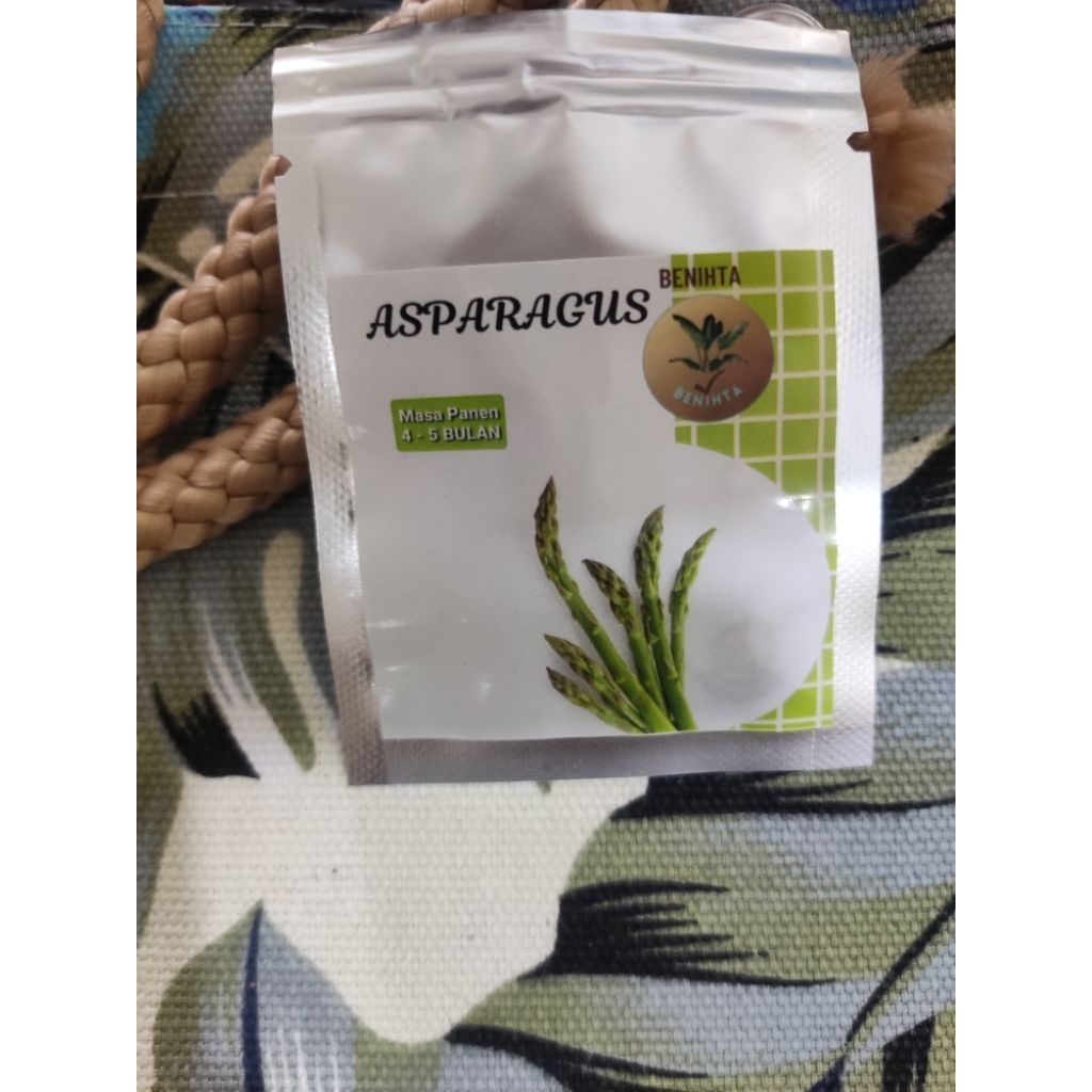 Jual Benih Asparagus/25 biji Kemasan Premium | Shopee Indonesia