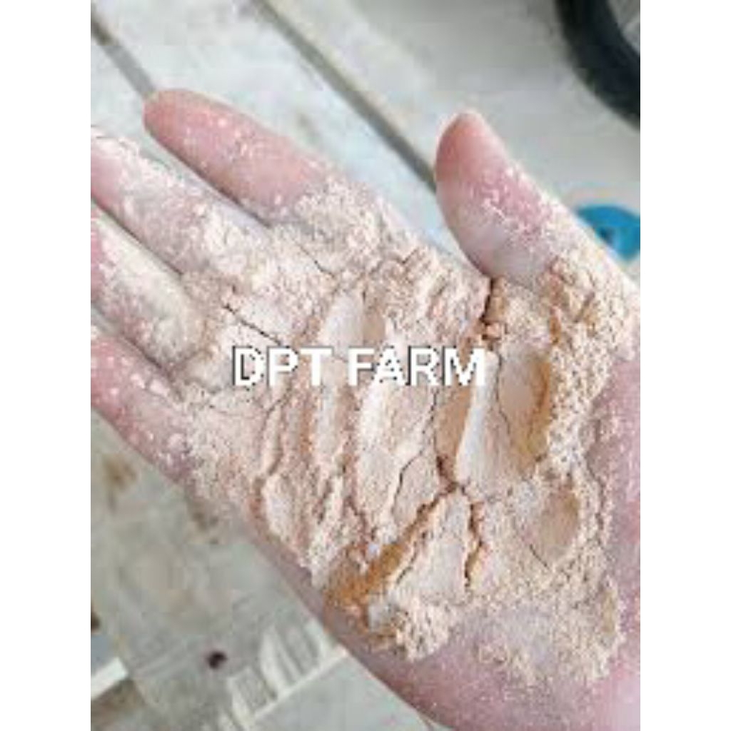 Jual Tepung Batu Grit – Mineral Kalsium Campuran Pakan Ternak Unggas 1 ...