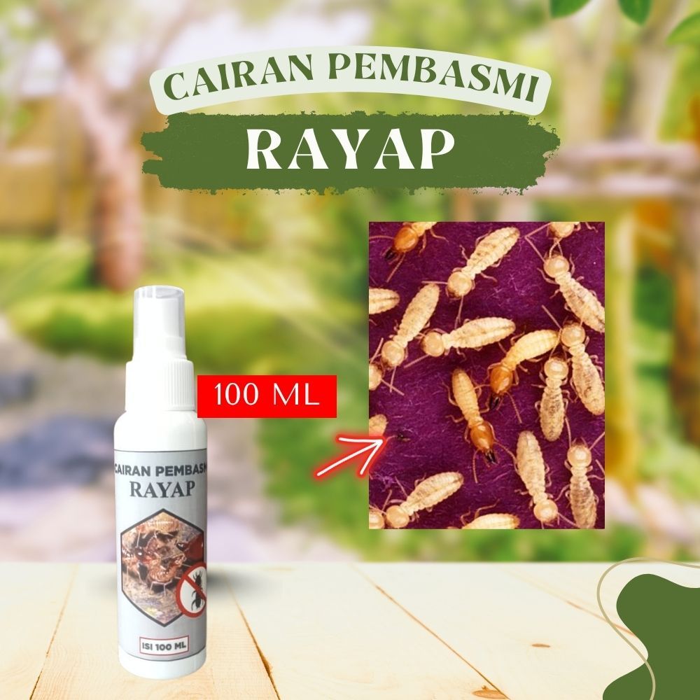 Jual Obat Pembasmi Rayap Ukuran isi 100 ml - Pembasmi dan Bunuh Rayap ...