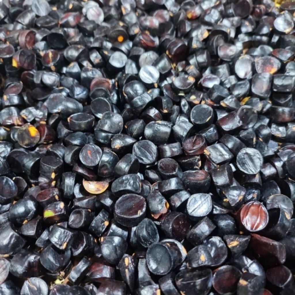 Jual Jaling Lampung/kabau/jolang jaling aroma rasa mirip Pete /jengkol ...