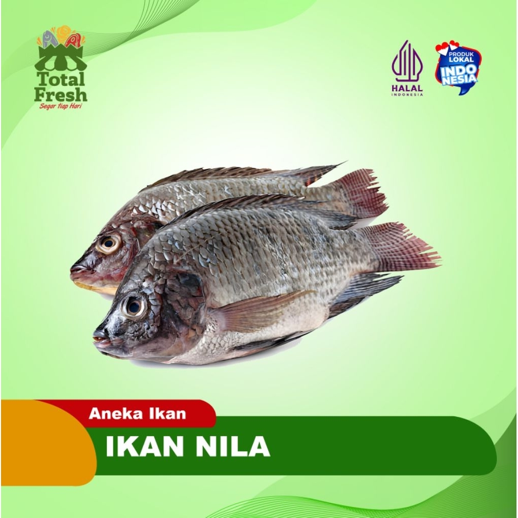 Jual Ikan Nila Fresh 1 Kg | Shopee Indonesia
