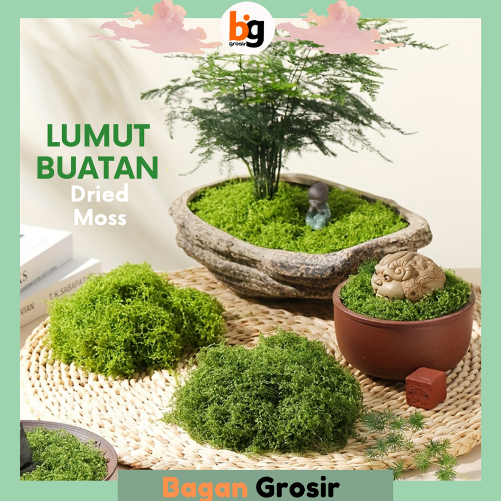 Jual BG Moss Dried Lumut abadi Artificial Palsu Hiasan Dekorasi Tanaman ...