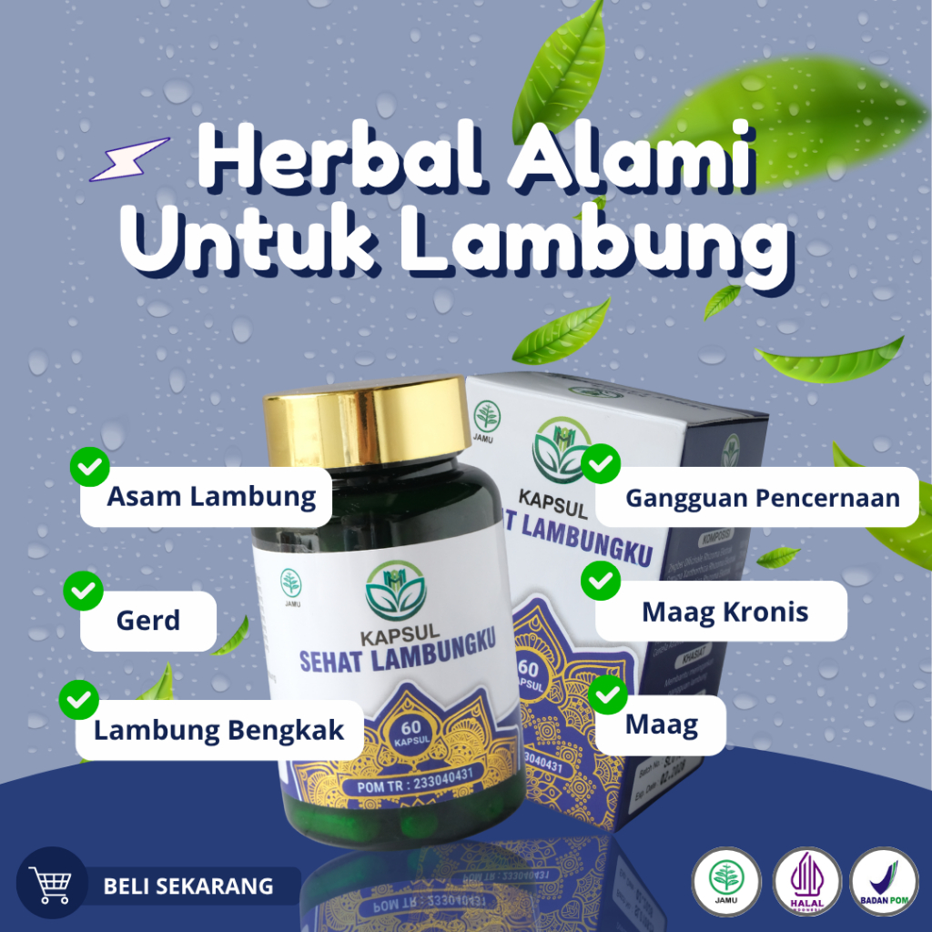 Jual Obat Herbal Asam Lambung Maag Magh Kronis Gerd | Sakit Lambung ...