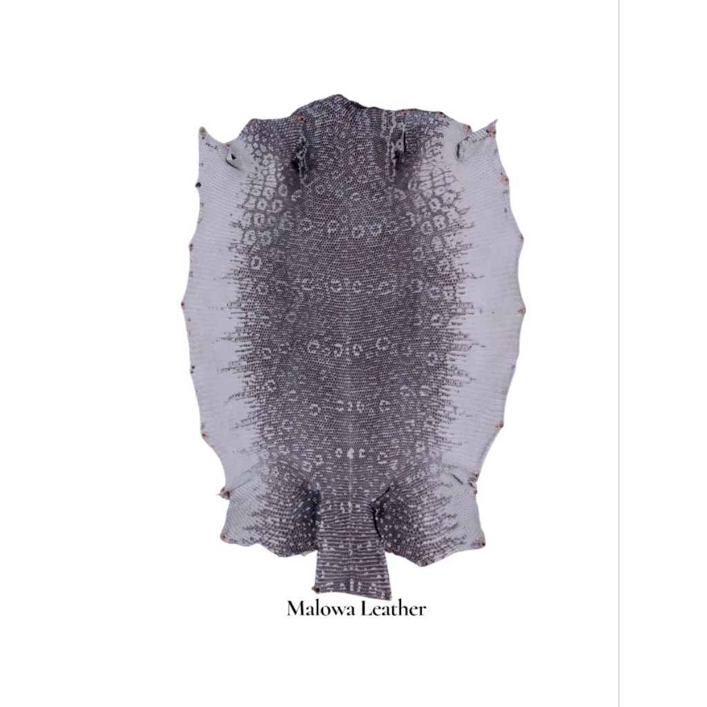 Jual Bahan Kerajinan Tangan dari Kulit Biawak Ring Sumatera Small Size ...