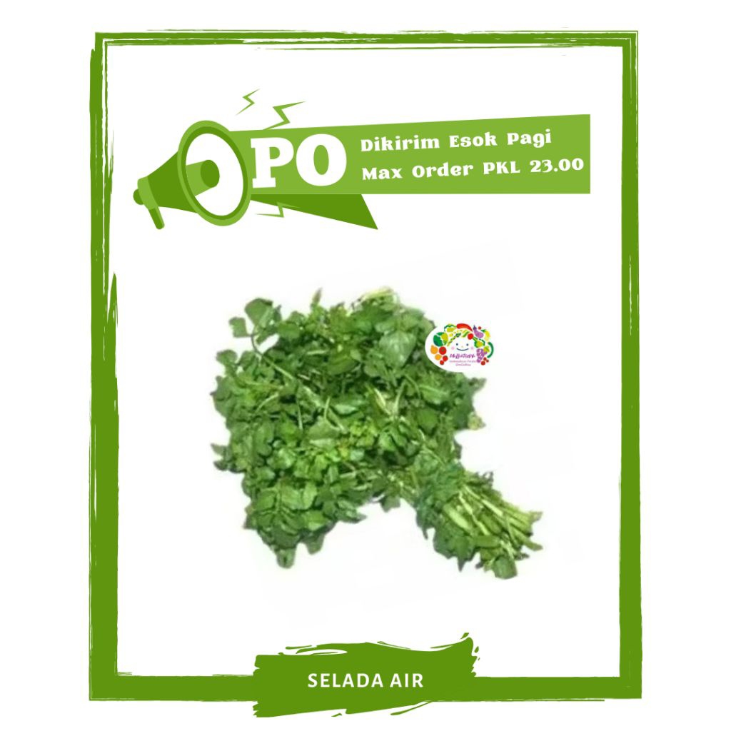 Jual Selada Air / Sayur Sayuran Segar PO Mallahrizwa | Shopee Indonesia