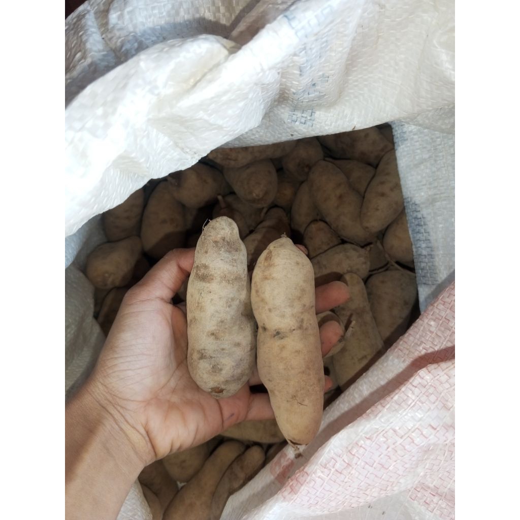 Jual GEMBILI Segar Berkualitas Super 1 kg | Shopee Indonesia