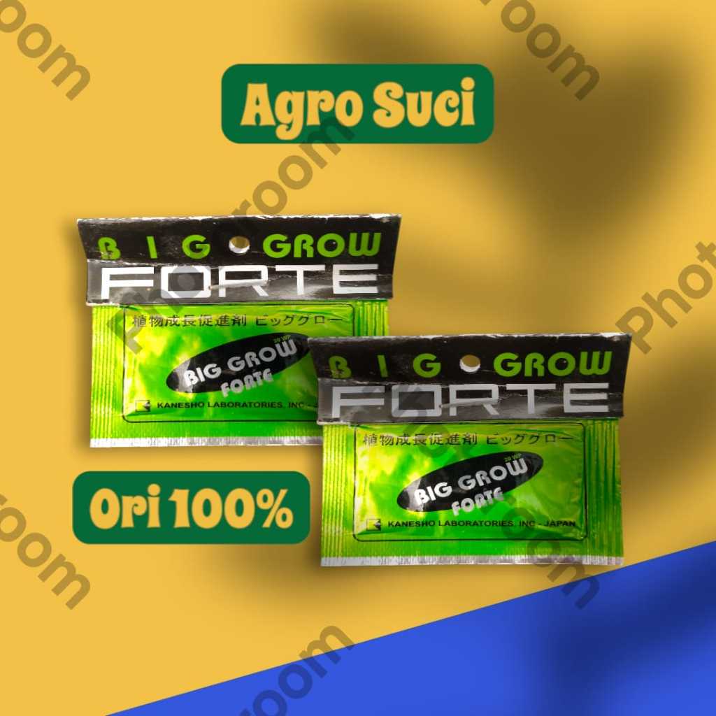 Jual ZPT BIG GROW FORTE 1 GRAM Kecil - 1 Sachet EXP 2029 | Shopee Indonesia