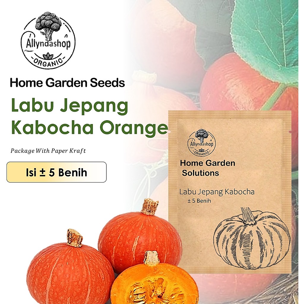 Jual 5 Biji - Bibit Benih Labu Jepang Kaboca Kabocha Orange Unggul ...