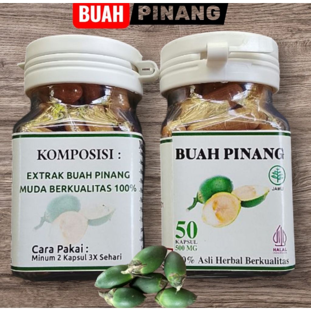 Jual Buah pinang Berkualitas isi 50.pcs | Shopee Indonesia