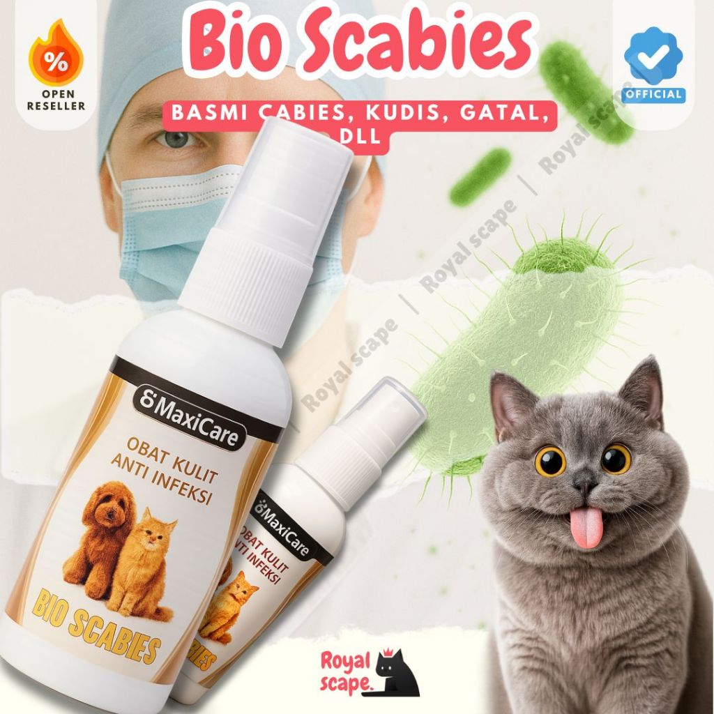 Jual RESELLER Obat Jamur Kucing Herbal, Scabies, Kudis, Gatal-Gatal ...