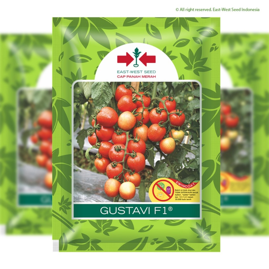 Jual CAP PANAH MERAH - BENIH/BIBIT TOMAT GUSTAVI F1 150 BUTIR | Shopee ...
