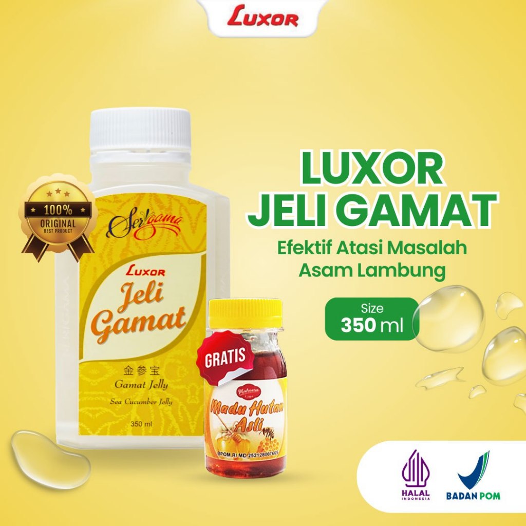 Jual Luxor - Jelly Gamat Sea Cucumber Asli 100% Original Bantu Percepat ...