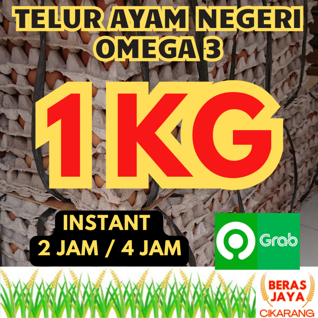 Jual (SPESIAL SALE SHOPEE!!) Promoo Telur Ayam Negeri Omega 3 Asli ...
