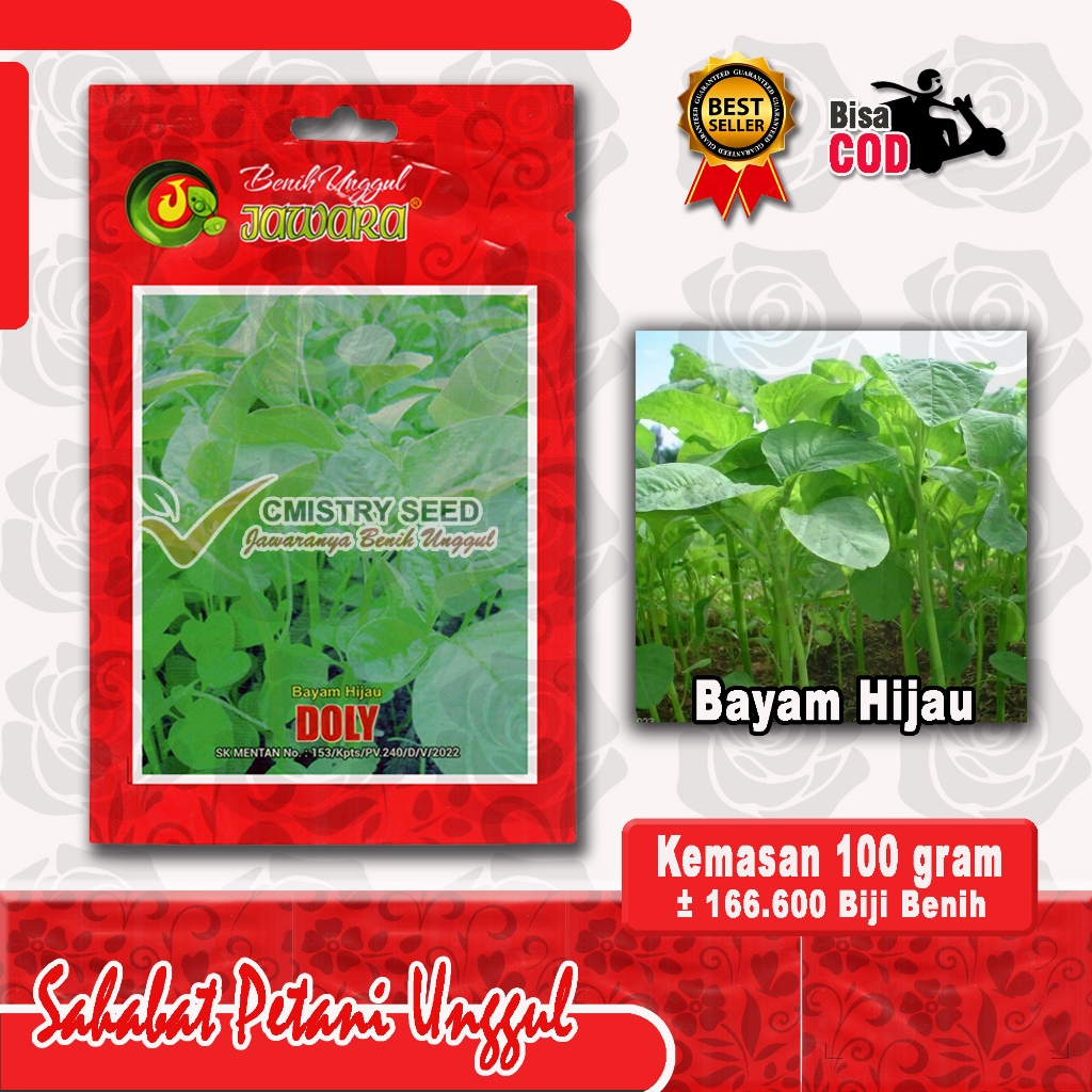 Jual Benih Bayam Hijau DOLY JAWARA 100gr Isi Sekitar 166.000 Benih ...