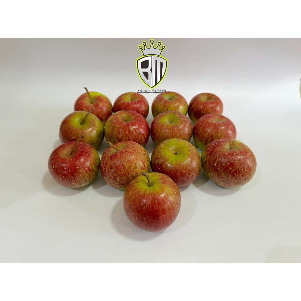 Jual Apel Malang Rome Beauty Tanggung ukuran 12-14 buah 1kg/ Apel Batu ...