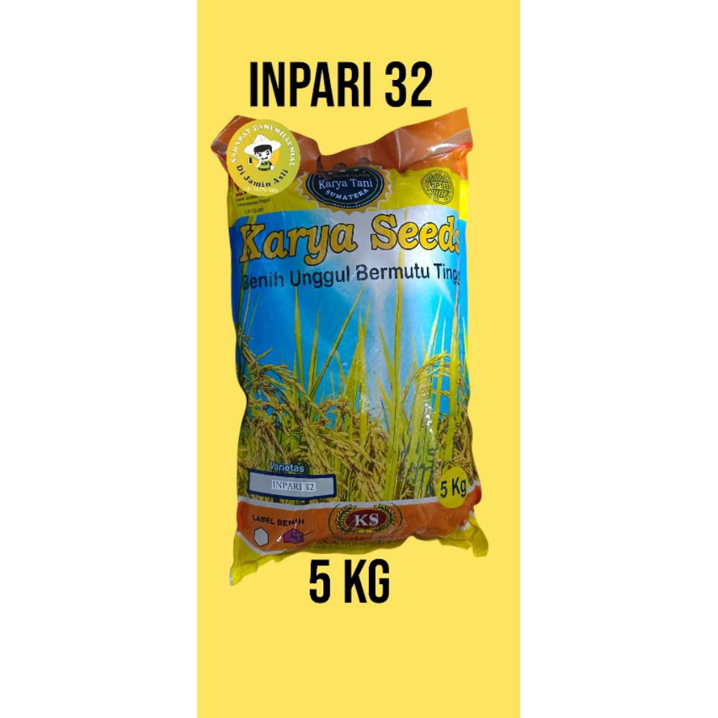 Jual Benih padi inpari 32 Karya Seed 5 kg | Shopee Indonesia