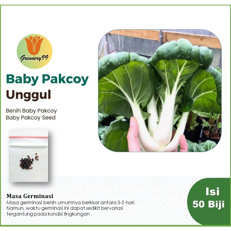 Jual Benih Sayuran Sawi Baby Pakcoy Unggul | Shopee Indonesia