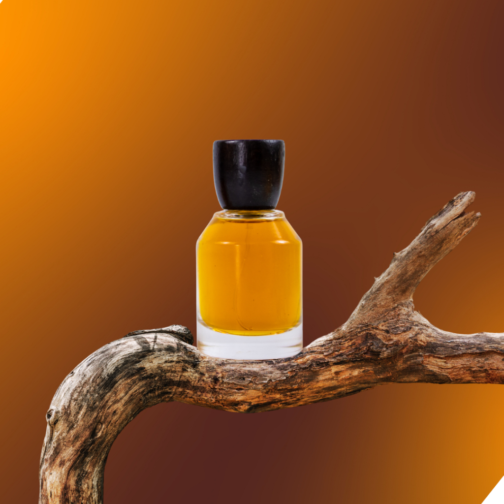 Jual Tutup Botol parfum kayu - CONE AT2 black glossy | Shopee Indonesia