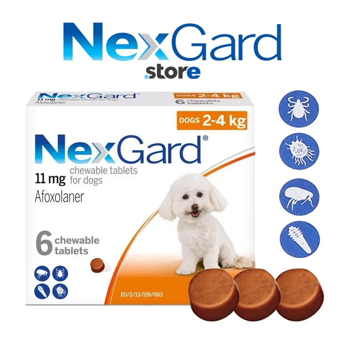 Jual NexGard Dog 2 - 4KG Small Obat Kutu Anjing Demodex Scabies | Shopee Indonesia