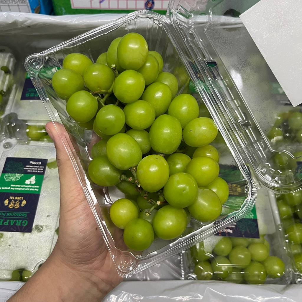 Jual ANGGUR MUSCAT LONGTAI PACK | Buah Anggur Grapes Fruit Enak Manis ...