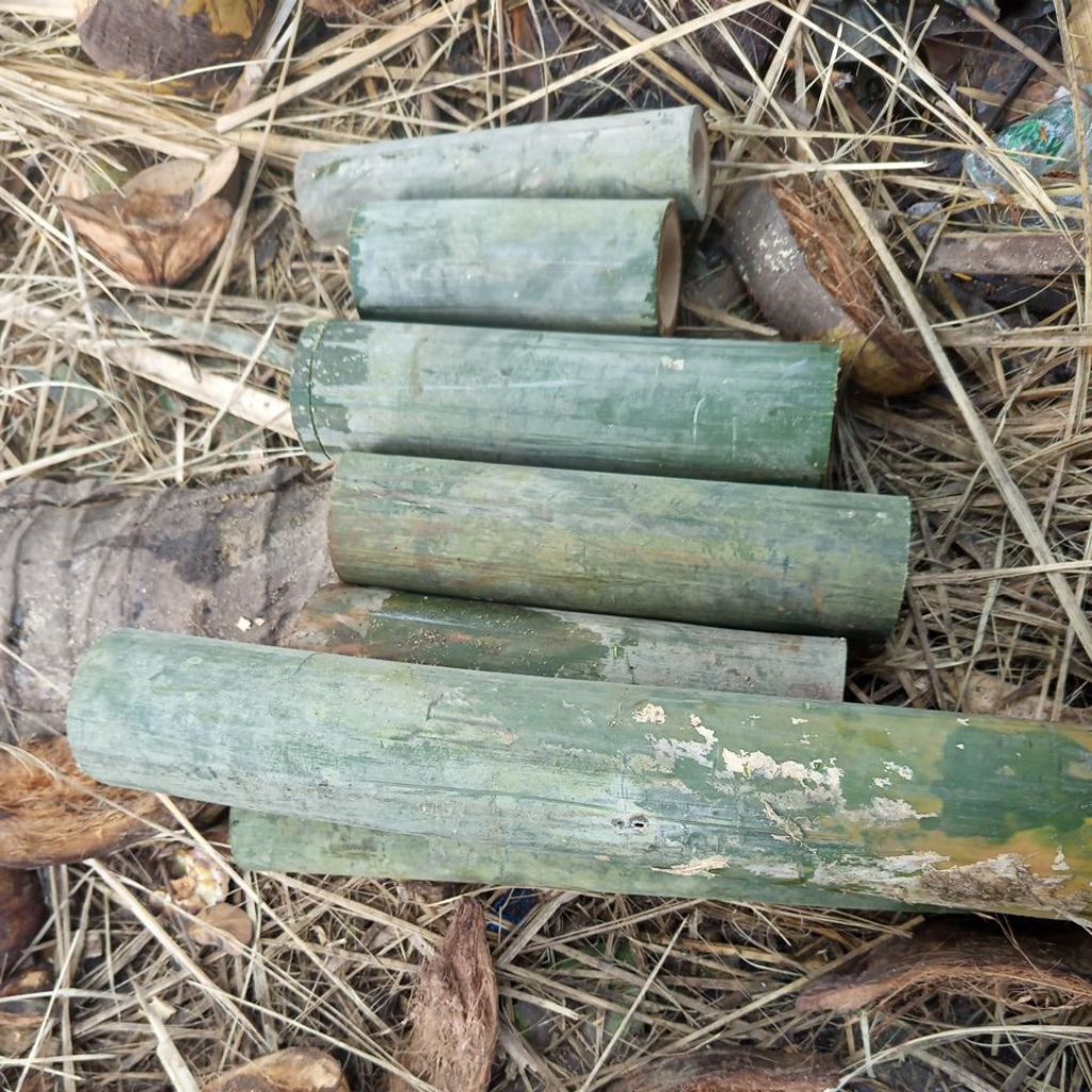 Jual bambu bulat | Shopee Indonesia