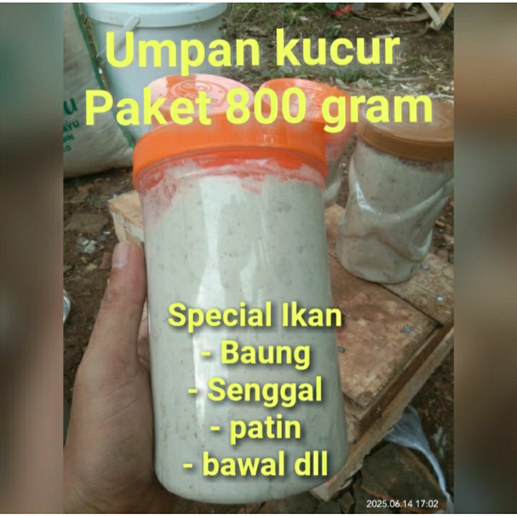 Jual Umpan kucur paket lengkap 800 gram | 500 gram | 200 gram | 100 ...
