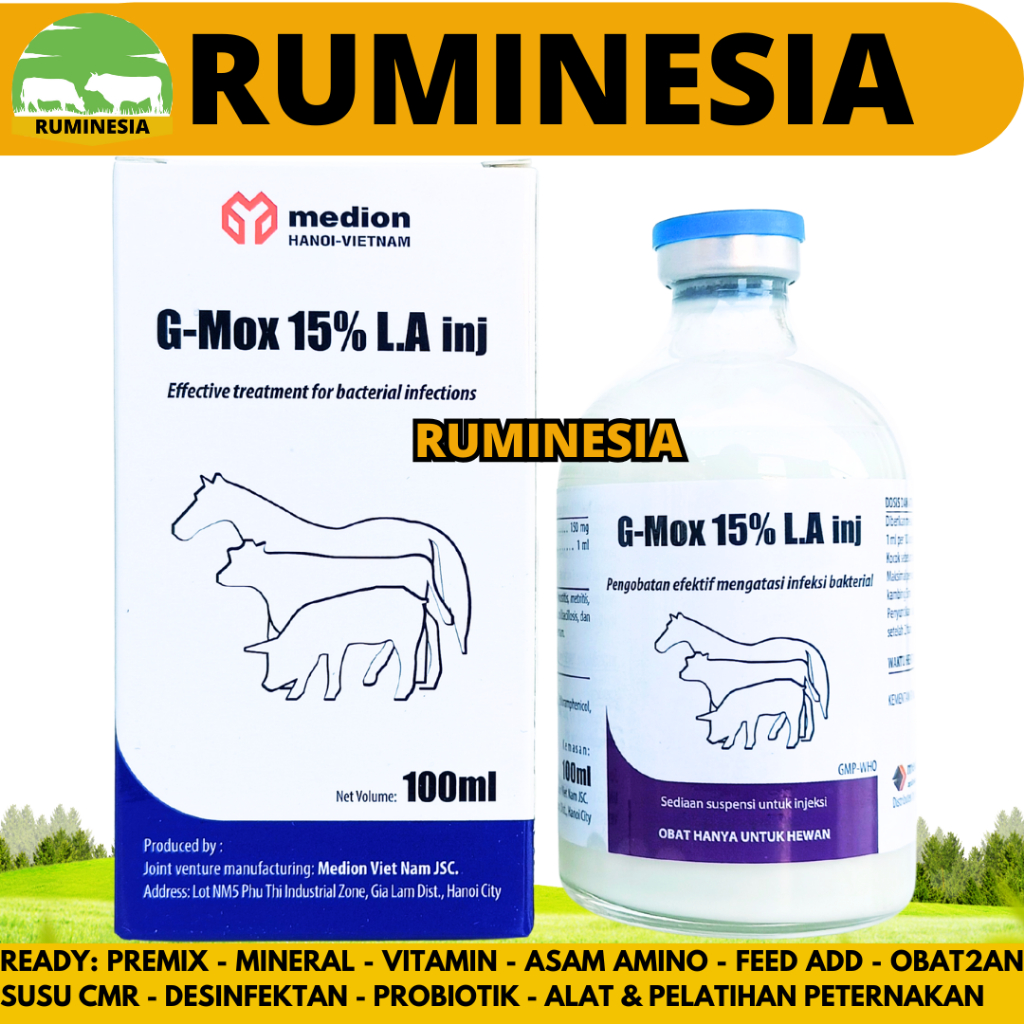 Jual G-MOX LA 100ML MEDION - Obat Hewan Antibiotik Long Acting Spektrum ...