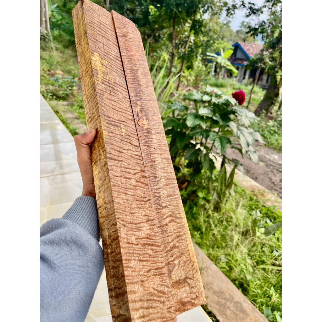 Jual kayu curly mangga / mangga gagang ukuran 50 x 6 x 4 cm | Shopee ...