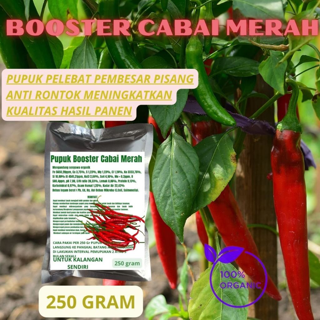 Jual MO Pupuk Booster Organik Cabe Cabai MERAH 250 GR Booster Pelebat Cabai Terbaik Cepat ...