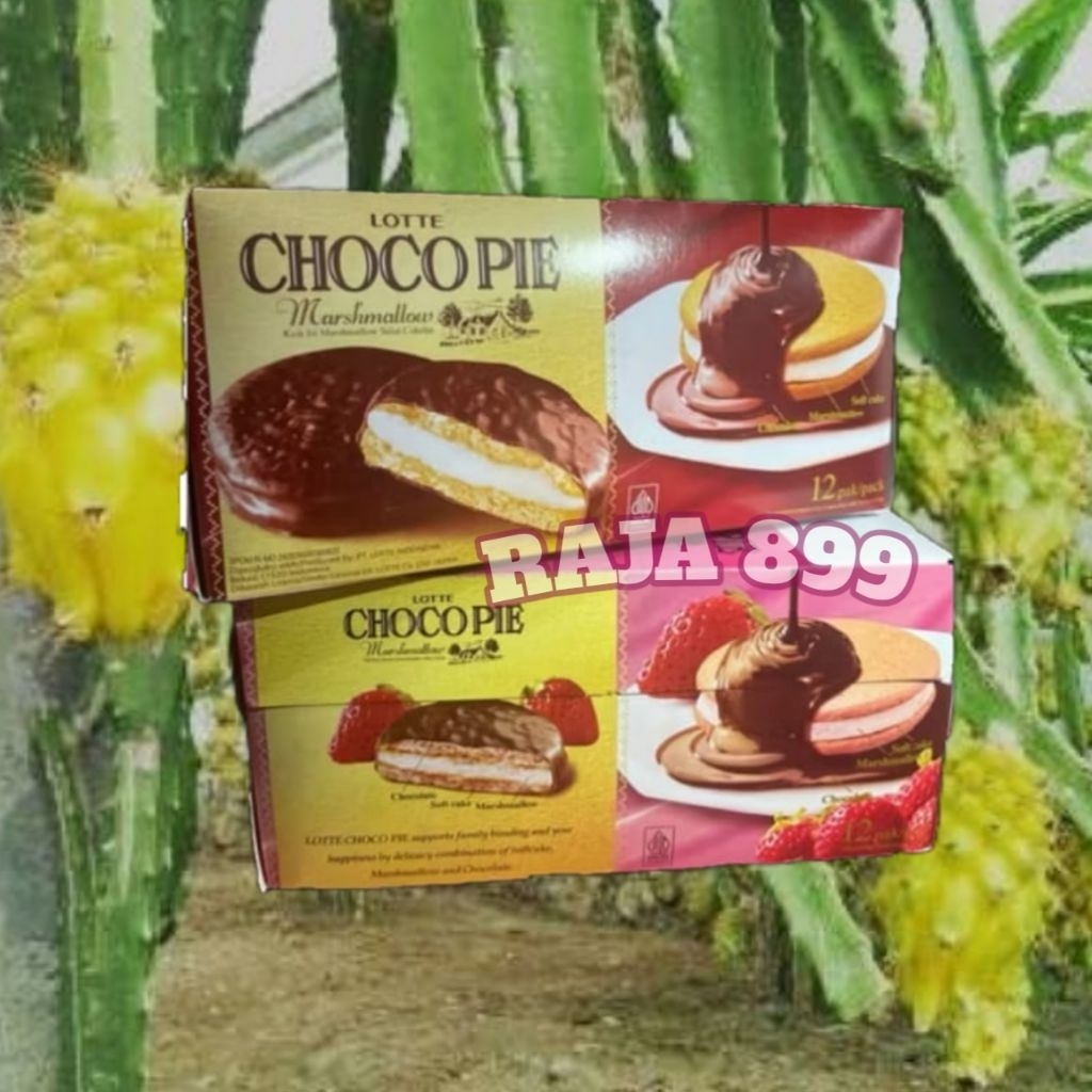 Jual LOTTE CHOCO PIE MARSHMALLOW | CHOCO PIE STRAWBERRY BOX ISI 12 PCS ...