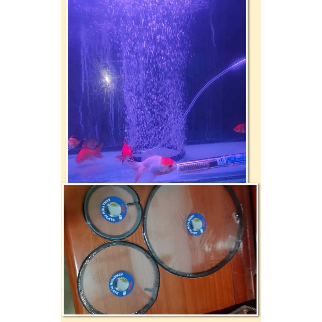 Jual Air stone Bulat uniring/Selang Uniring/Uniring Aerasi pas untuk ...