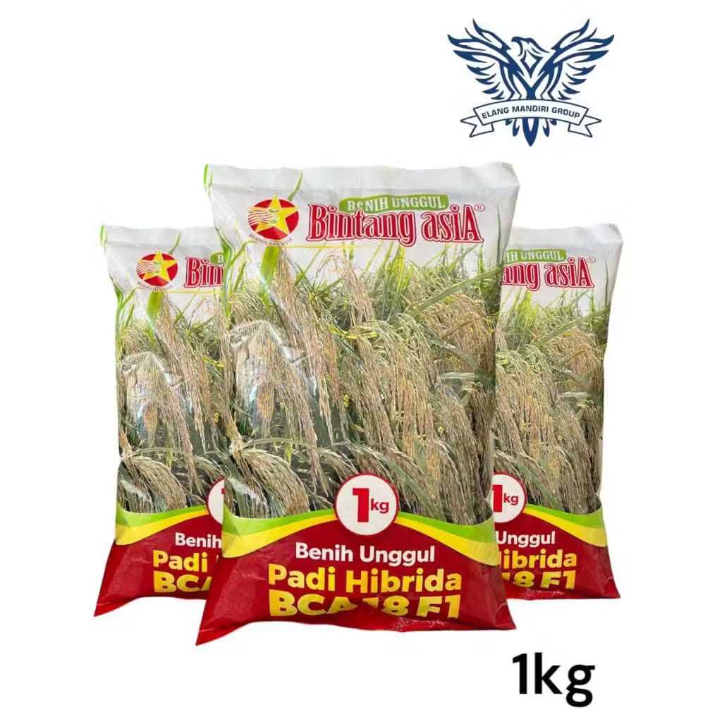Jual BCA F1 1KG benih unggul padi hibrida bintang asia | Shopee Indonesia